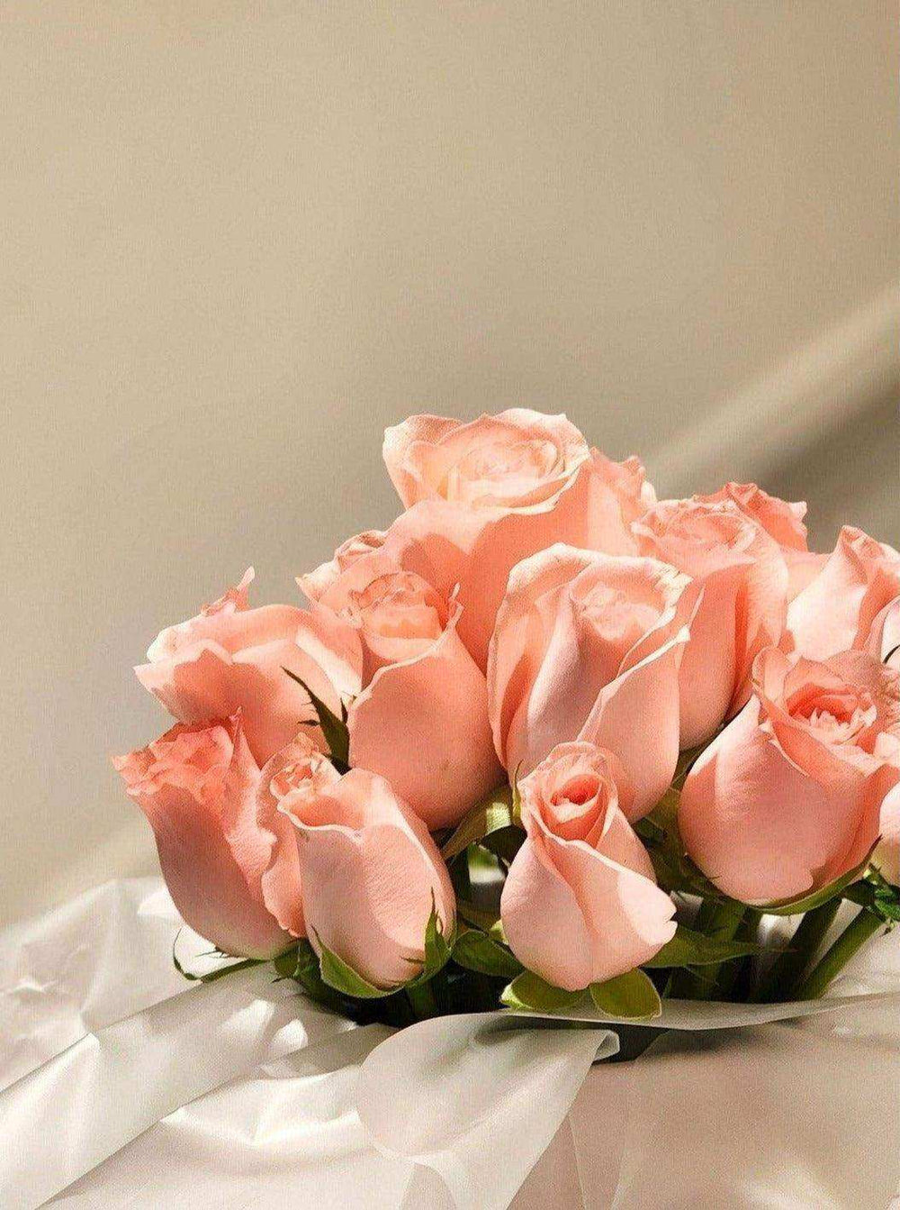 Blush - Pink Rose Flower Box | Lavish Florist | Free Delivery